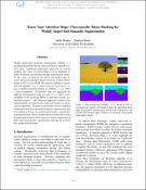 Know Your Attention Maps: Class-specific Token Masking for Weakly ...